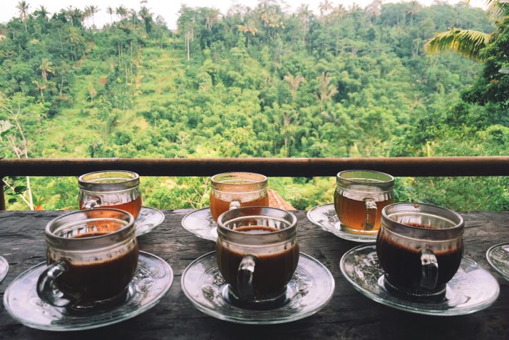 Buddy Adventures in Ubud | Passport