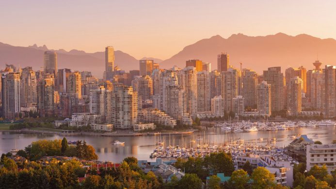 Passport | Kiwi Collection