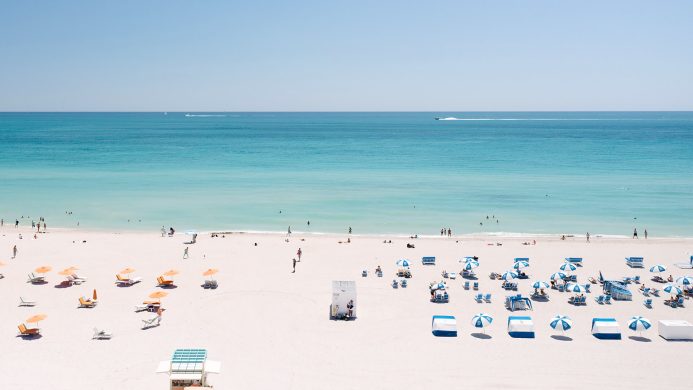 Passport | Kiwi Collection